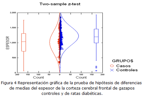 Diagrama De Disección De Cerebro De Rata